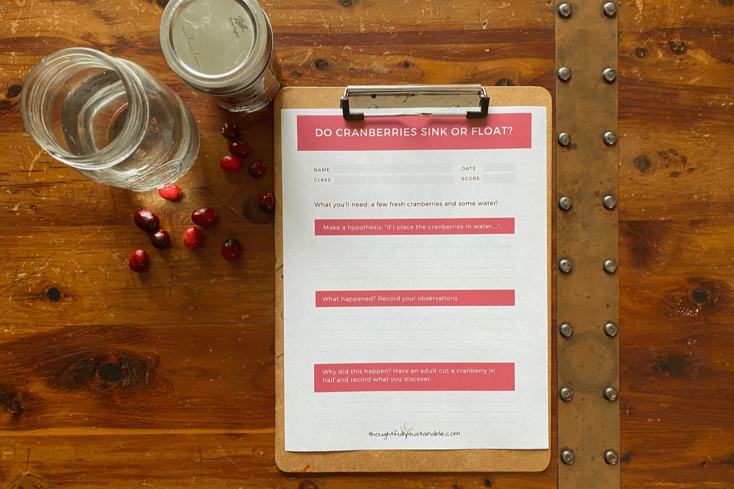 How to Determine if Cranberries are Buoyant: A Winter Science ...