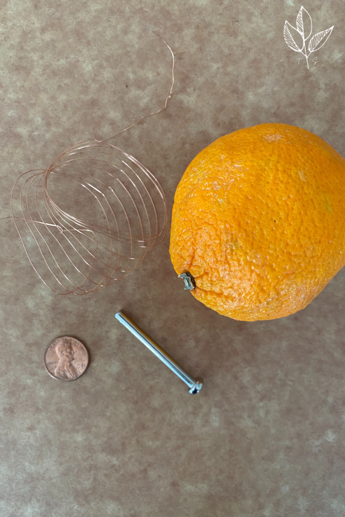 How to Make a Fruit Powered Clock + FREE Printables – Thoughtfully ...