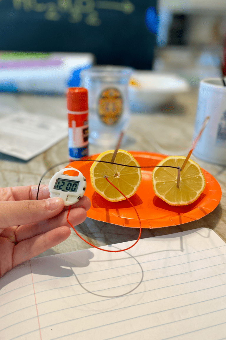 How to Make a Fruit Powered Clock + FREE Printables - Thoughtfully ...