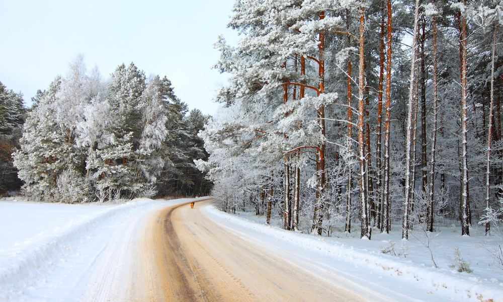 How Road Salt Effects the Environment: A Science Lesson for Kids ...