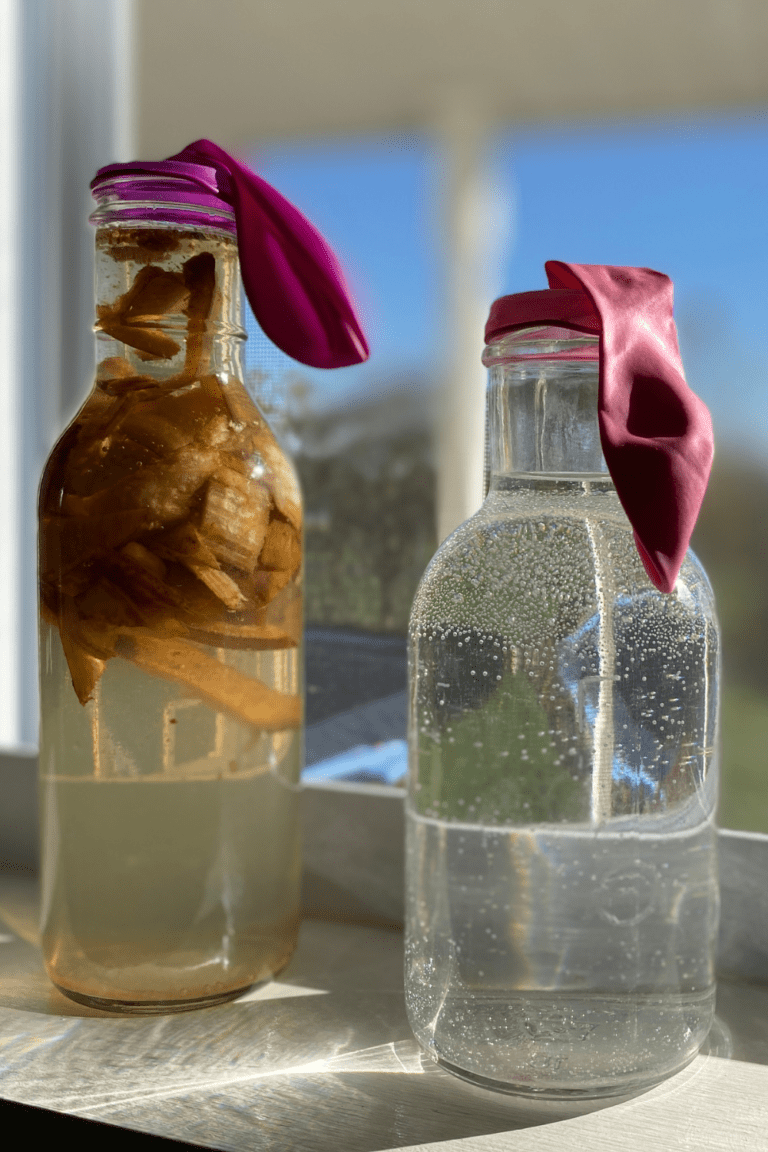 How to Conduct an Alka-Seltzer Rocket Science Experiment – Thoughtfully ...