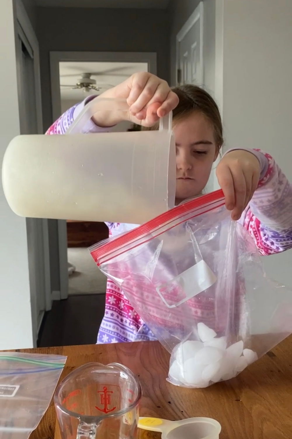 How to Make Ice Cream in a Bag Using Science - Thoughtfully Sustainable