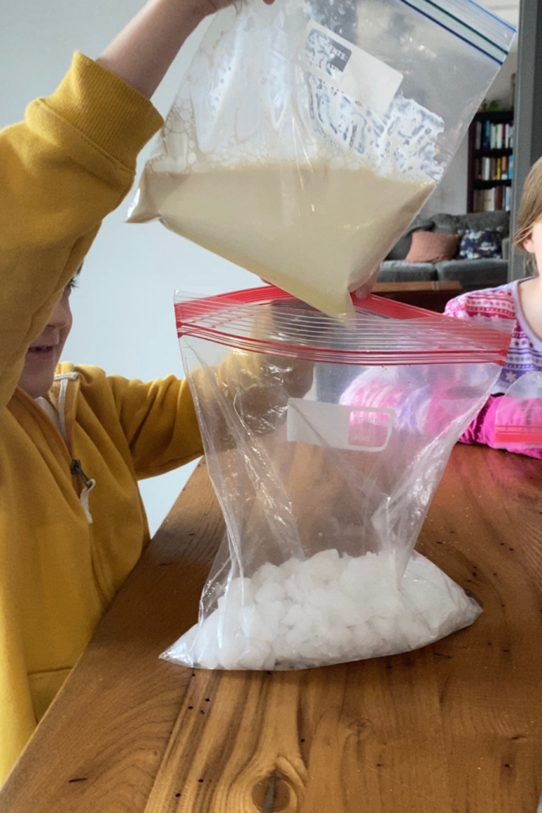 How to Make Ice Cream in a Bag Using Science – Thoughtfully Sustainable