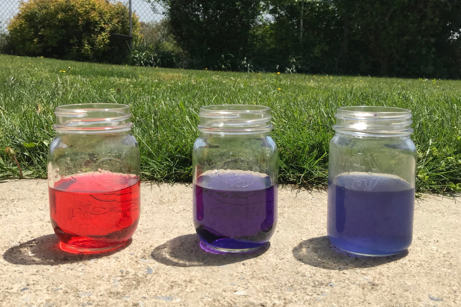 How to Use Cabbage Juice for Chemistry Experiments – Thoughtfully ...