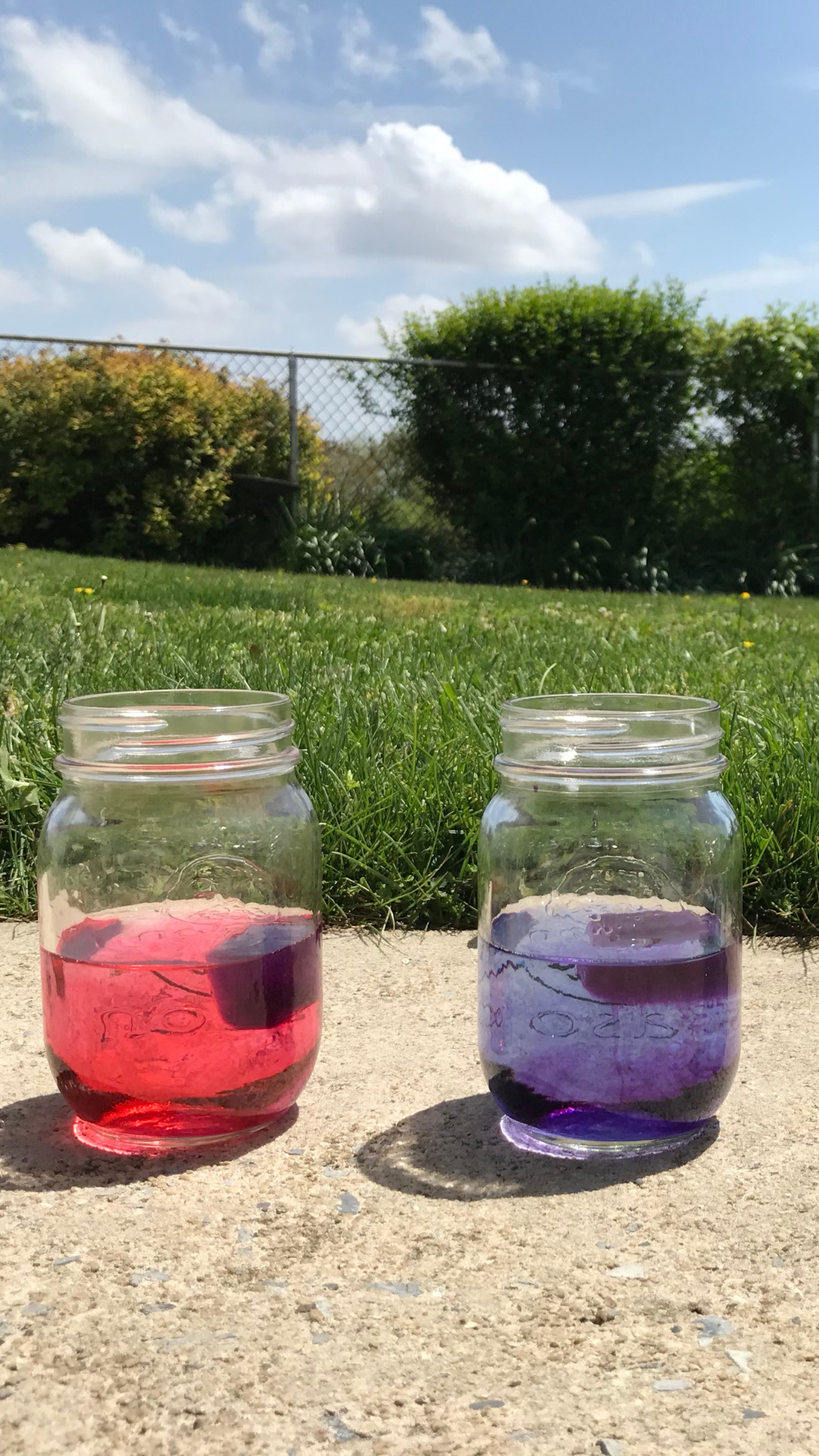 How to Use Cabbage Juice for Chemistry Experiments - Thoughtfully ...