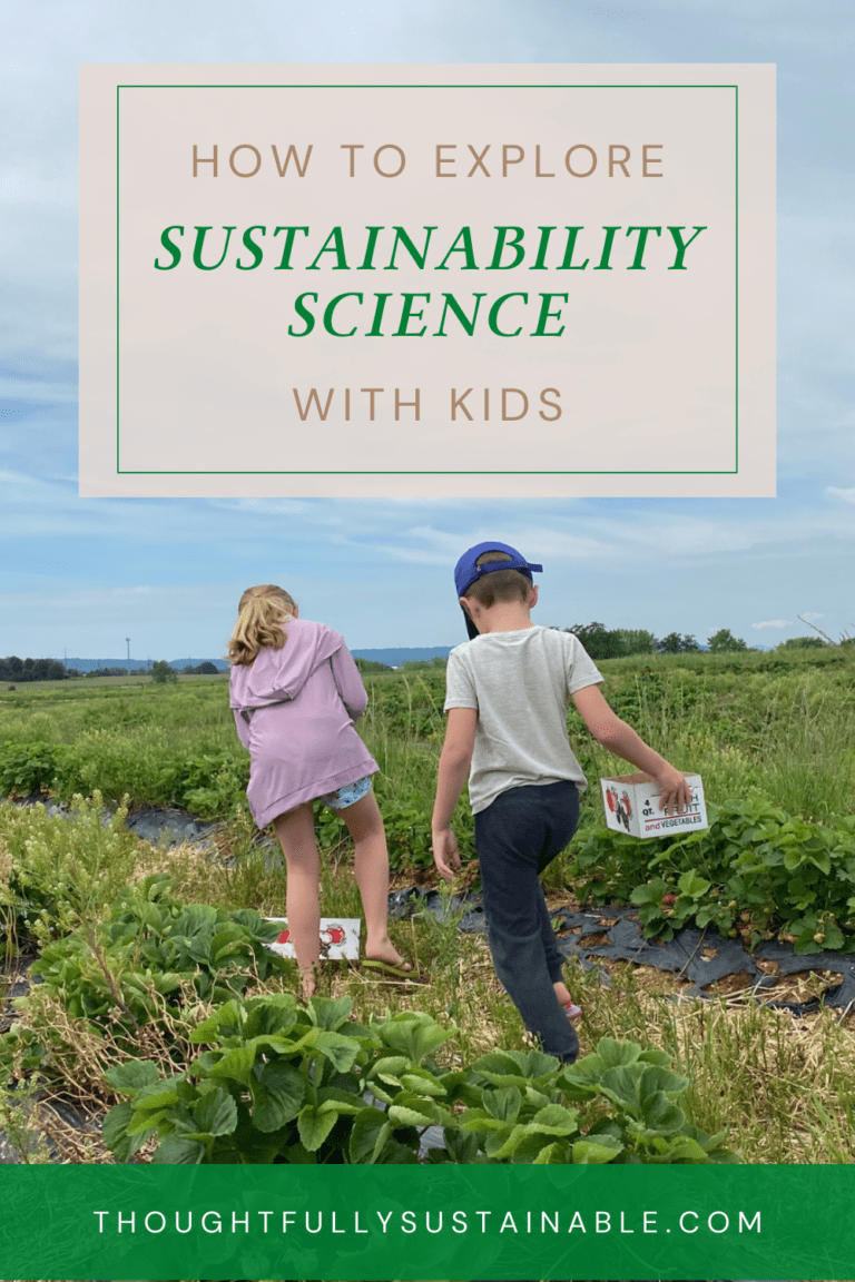 How to Explore Sustainability Science Concepts with Kids - Thoughtfully ...