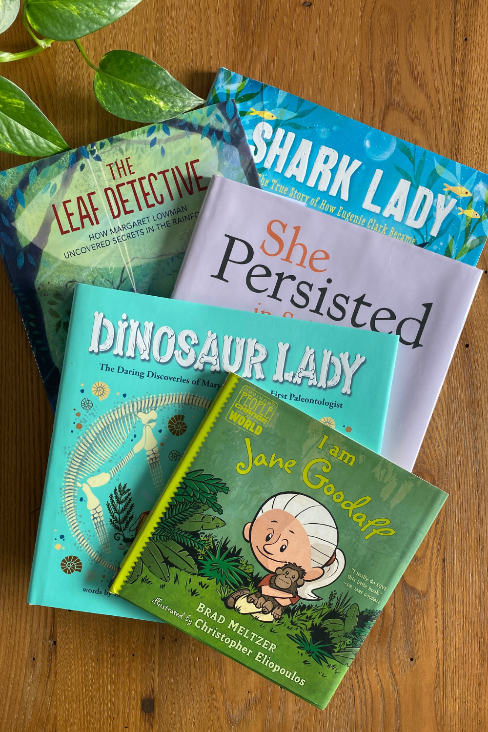 Explore the World of Jane Goodall: A Famous Female Scientist ...